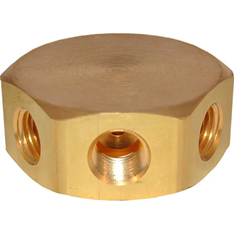 Manifold Blocks : Manifold,6 Port,3000,Hex,1/4 FNPT,BR