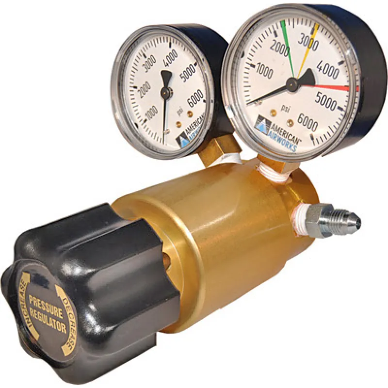 Regulator,6000/5000,w/Gauges